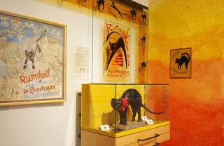 Beckum City Museum: Anne Roerkohl dokumentARfilm GmbH – Filme für ...